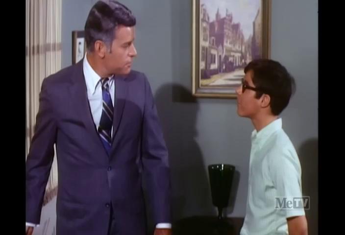 My Three Sons (1960)