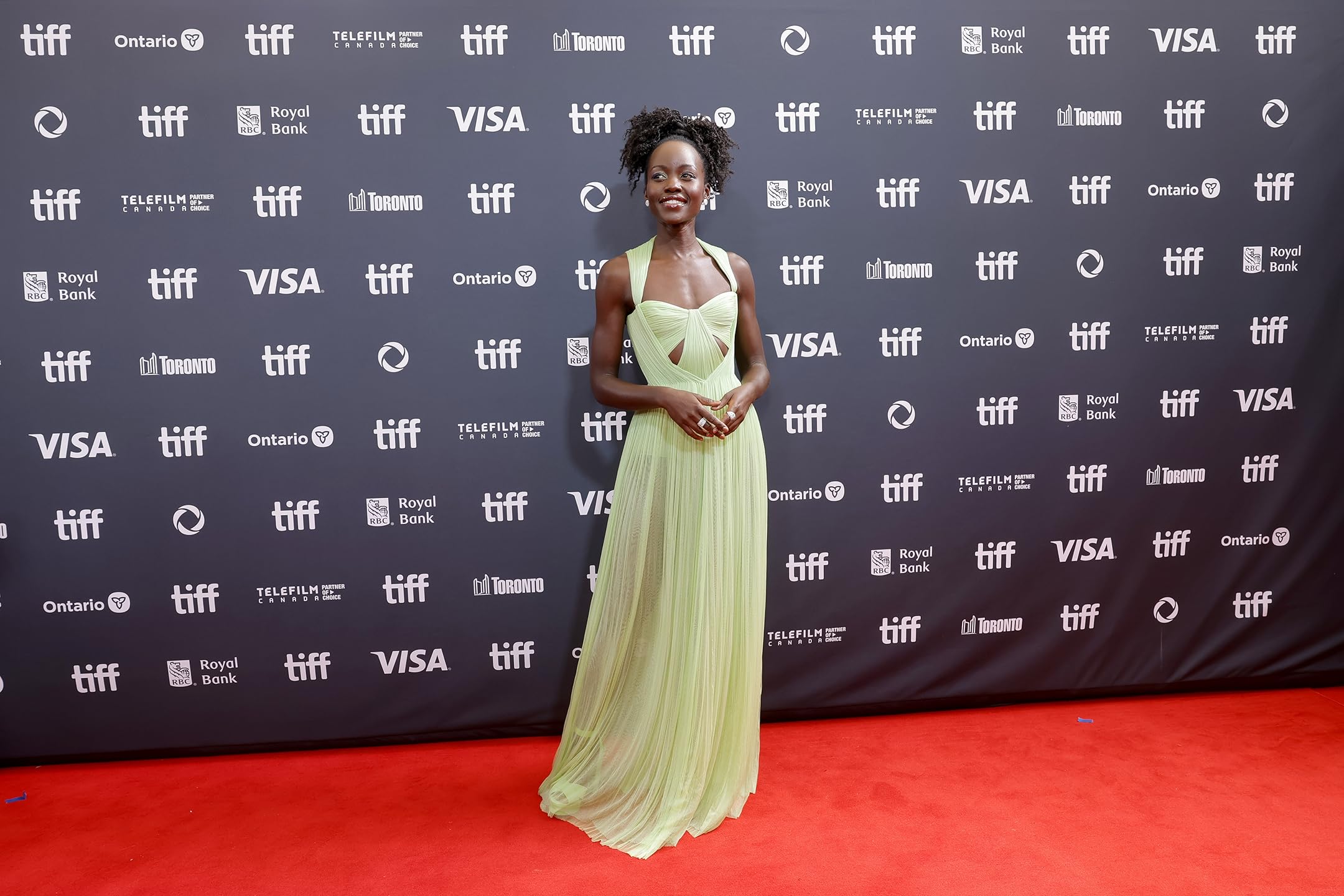 The Wild Robot (2024)