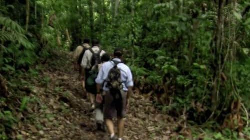 Python Hunters (TV Series 2010– ) - Episode list - IMDb