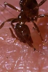 "Weird, True & Freaky" Invaders (TV Episode 2008) - IMDb