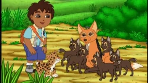 Go, Diego! Go! (TV Series 2005–2013) - Episode list - IMDb