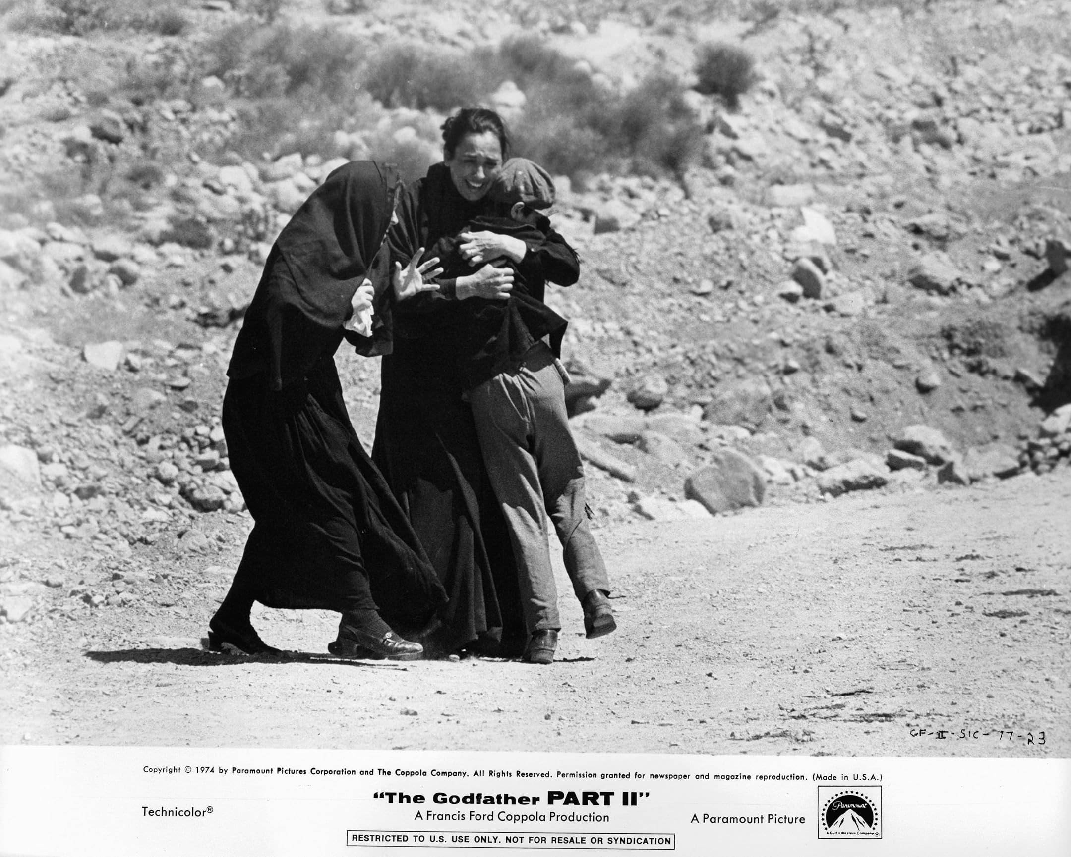 The Godfather Part II 1974 The Godfather Part II 1974
