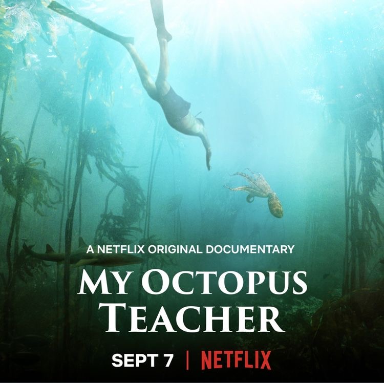 My Octopus Teacher (2020)