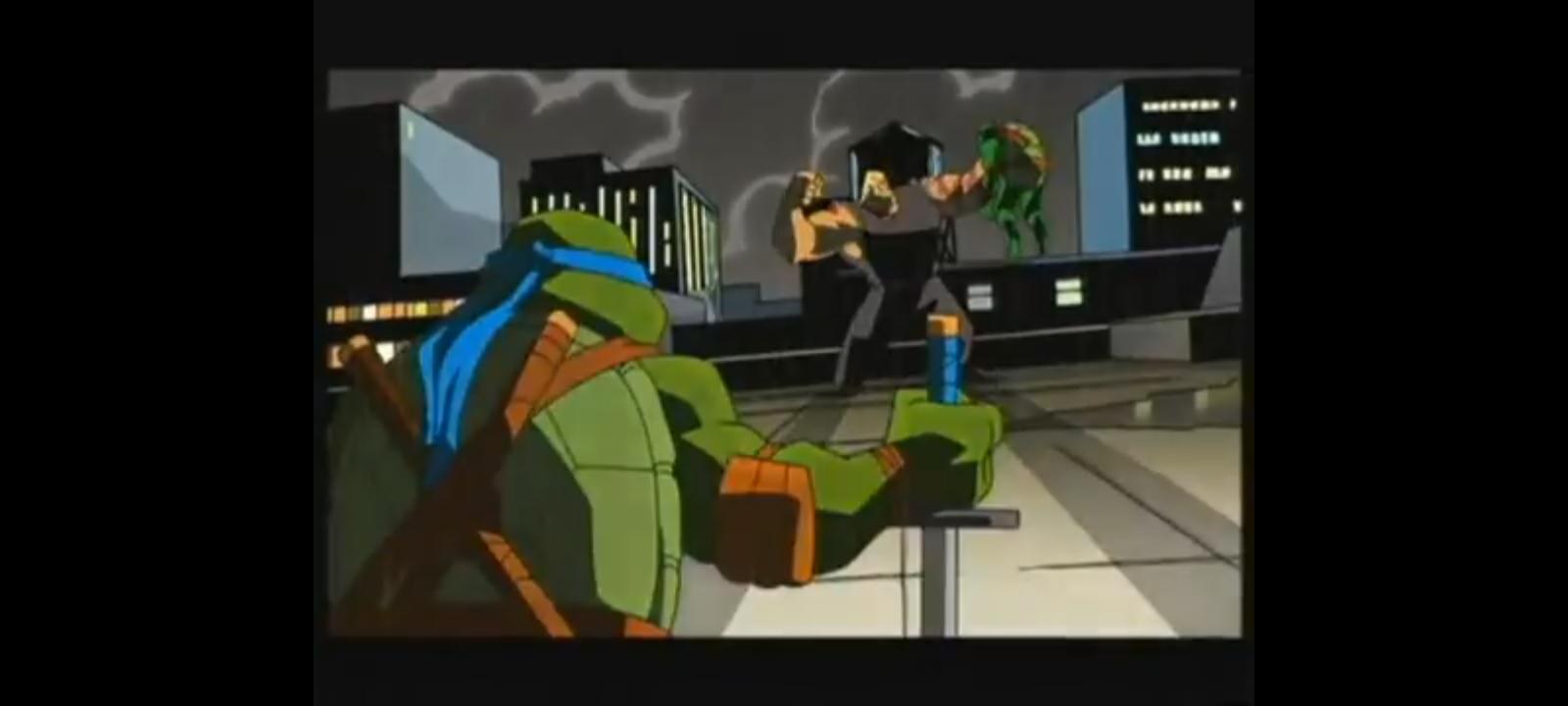 Teenage Mutant Ninja Turtles (2003)