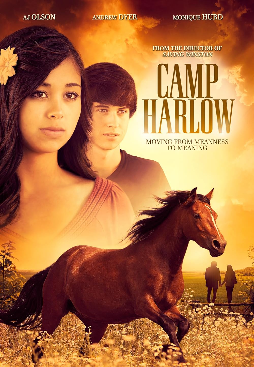 Camp Harlow (2014)