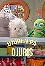 Djuren på Djuris (Série télévisée 2020–2021) - Liste des épisodes - IMDb