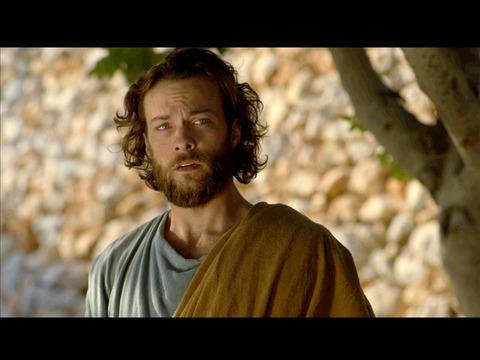 Stephen Paul And Saul