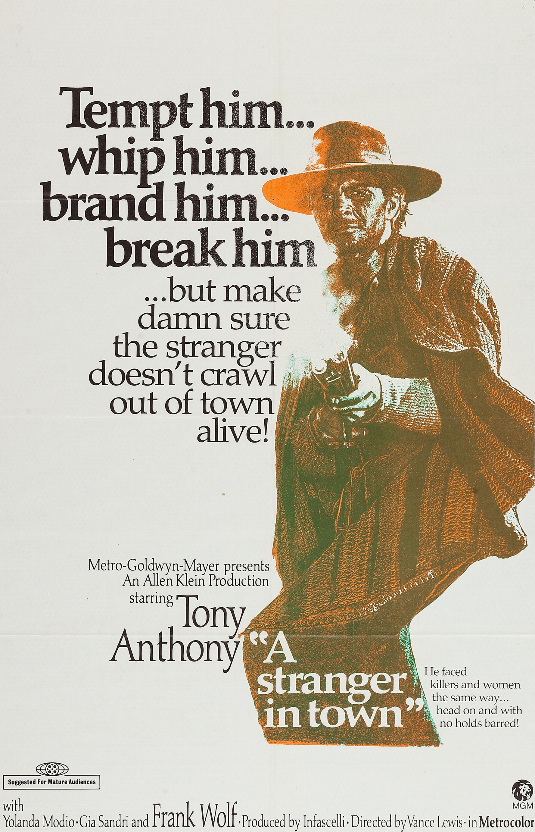 A Stranger in Town (1967)