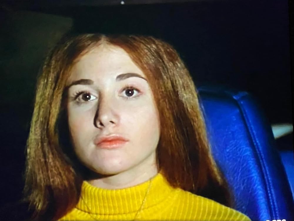 The Brady Bunch (1969)