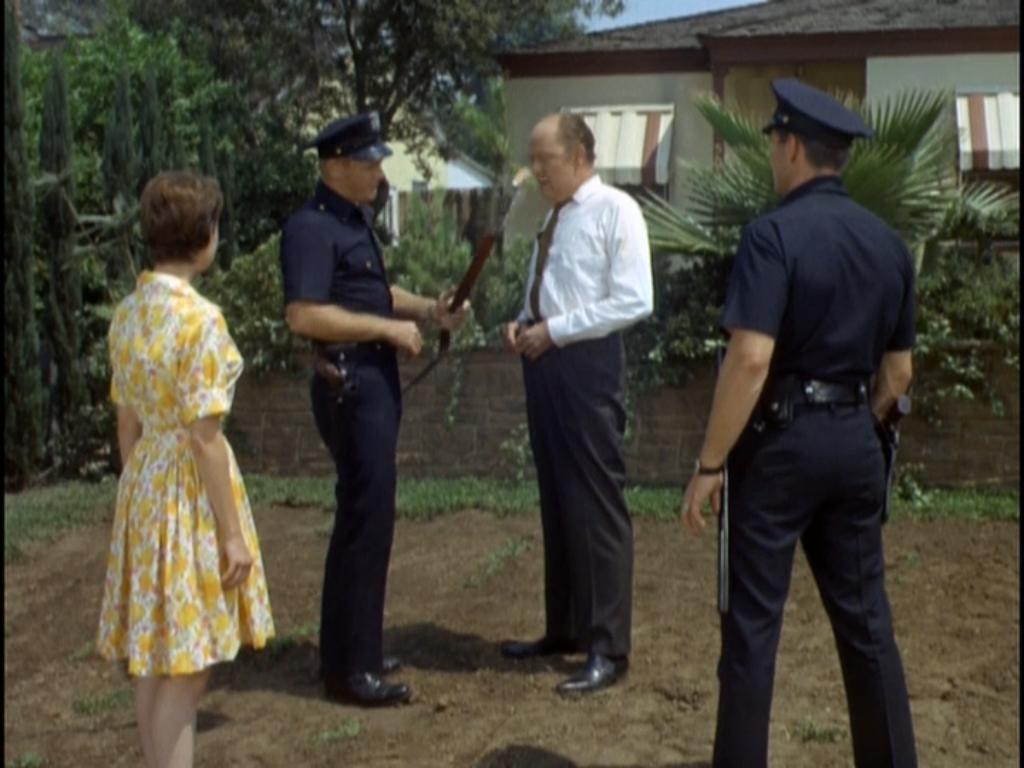 Adam-12 (1968)