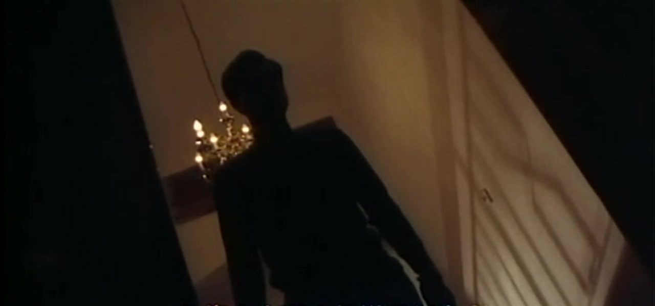 Don't Stop My Crazy Love for You (1993)