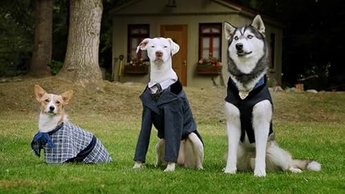 Pup Academy (TV Series 2019) - Episode list - IMDb