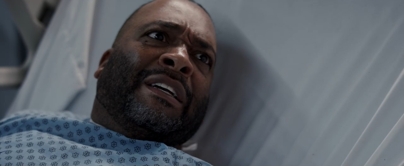 All Bark No Bite (2024)