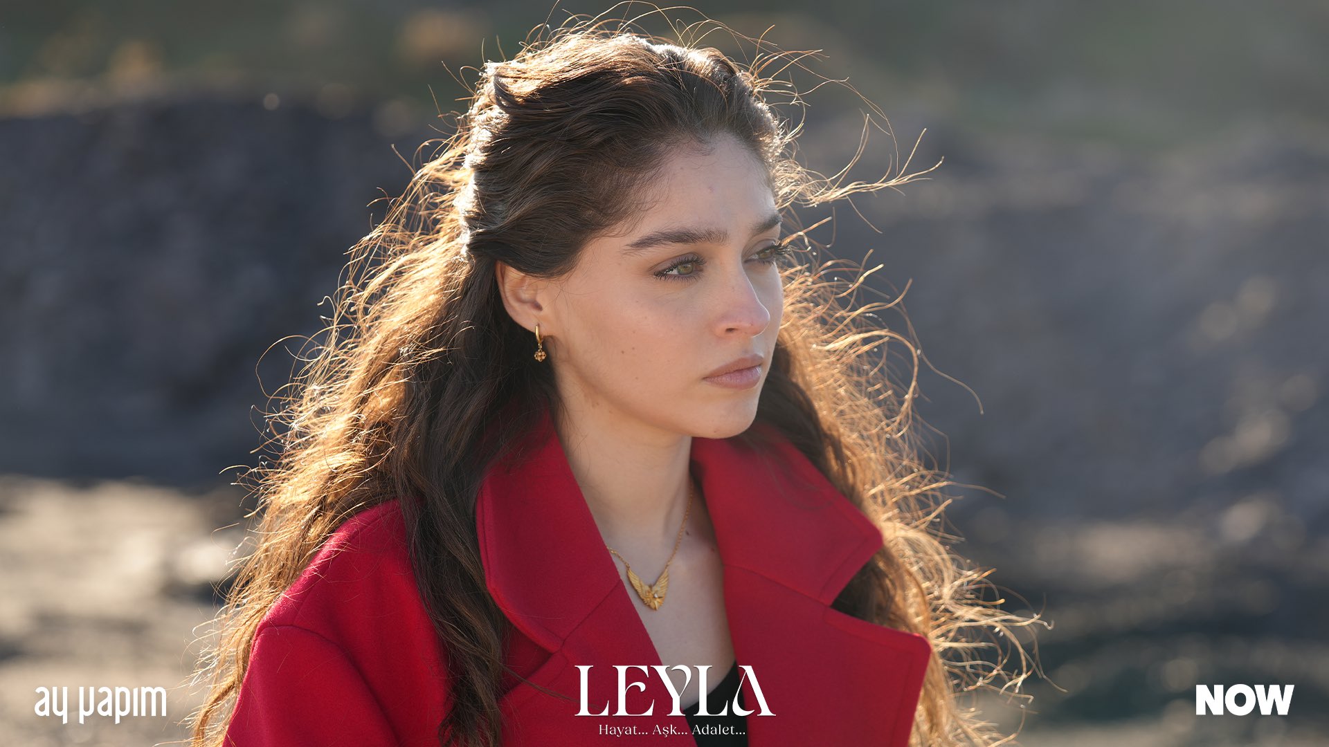 Leyla: Life Love Justice (2024)