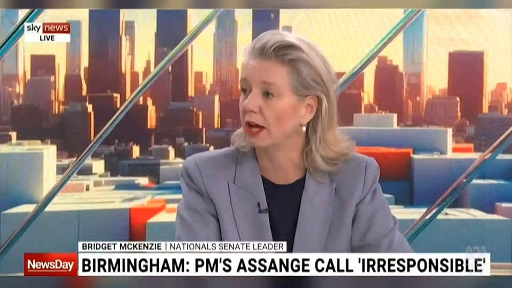 Richard Marles - Deputy Prime Minister (2024)