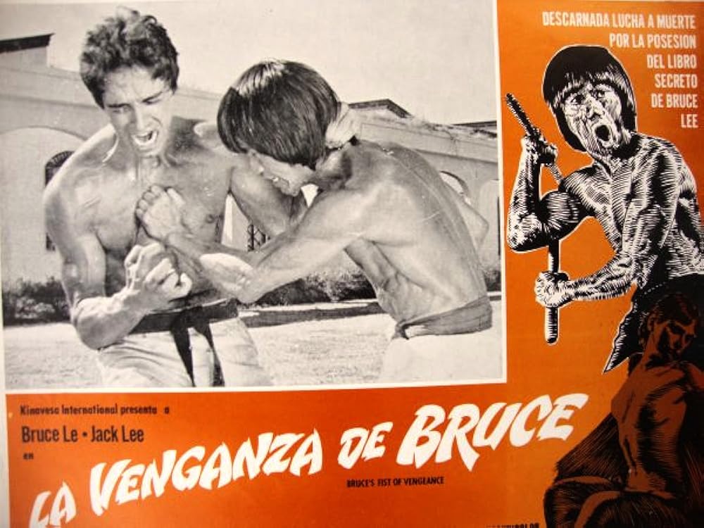 Bruce's Fists of Vengeance (1980)