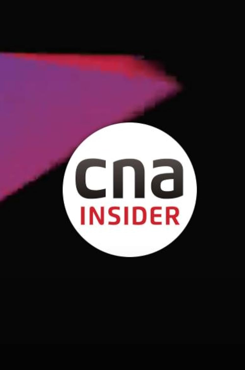 "CNA Insider" Copy + Paste + Steal: Artists Battle for Copyright vs Generative AI (TV Episode ...