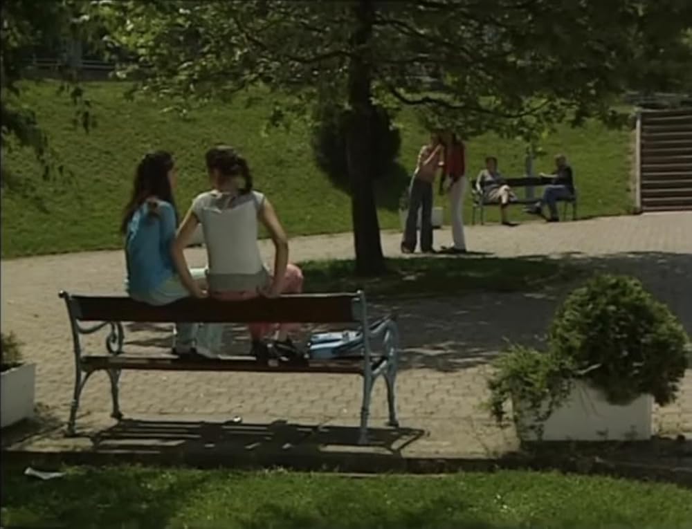 Ljubav, navika, panika (2005)