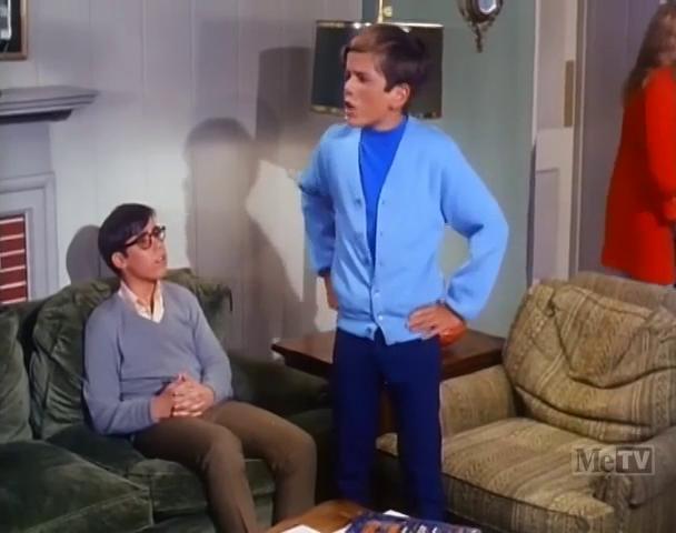 My Three Sons (1960)