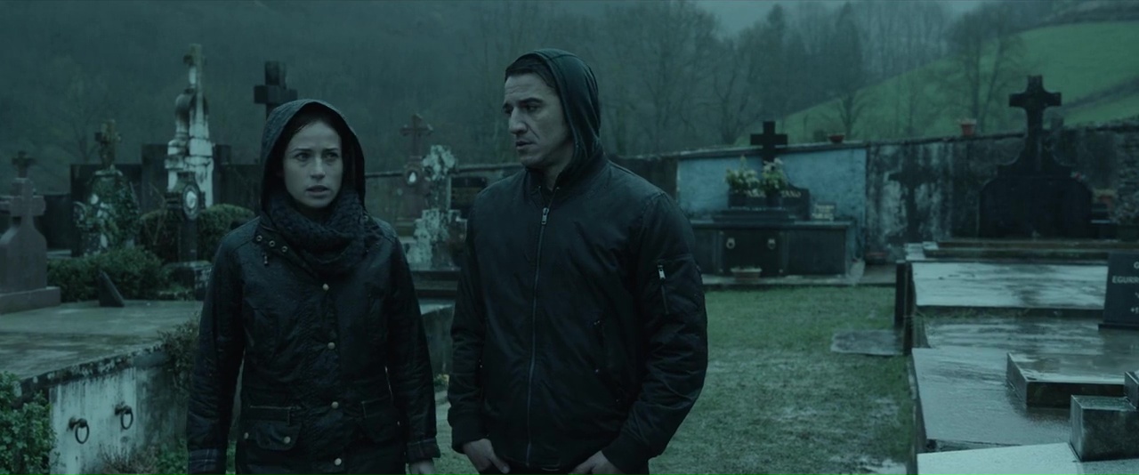 The Invisible Guardian (2017)