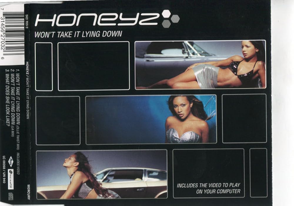 Honeyz: Won't Take It Lying Down (2000)