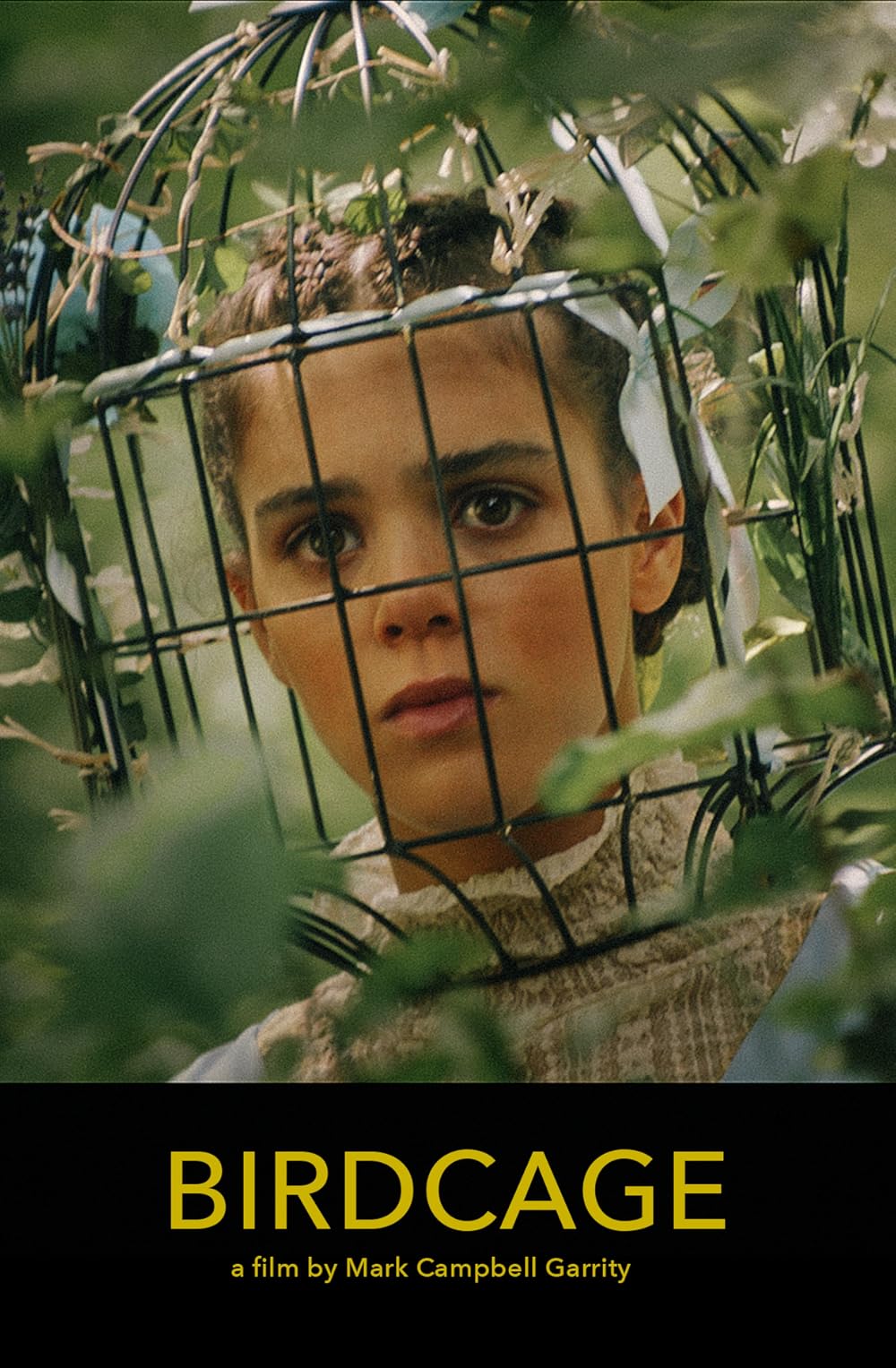 Birdcage (Short 2020) - IMDb