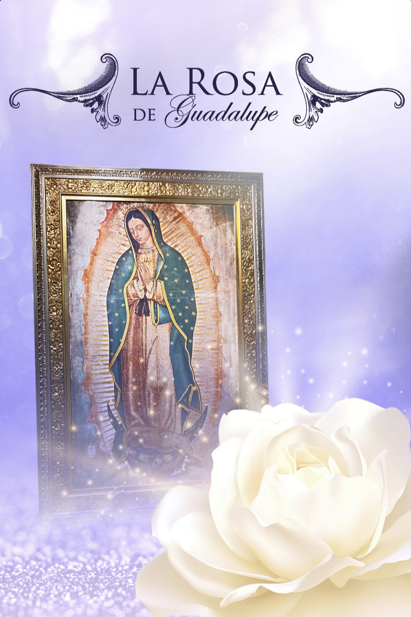La rosa de Guadalupe (2008)