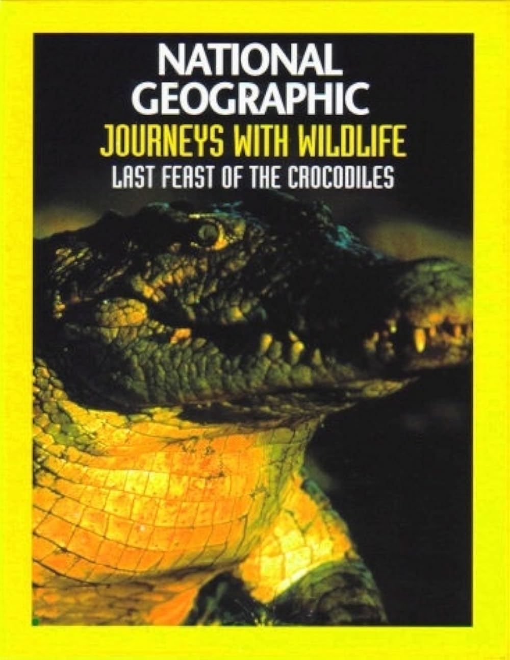 National Geographic: The Last Feast of the Crocodiles (TV Movie 1996 ...