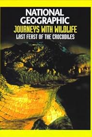 National Geographic: The Last Feast of the Crocodiles (TV Movie 1996 ...