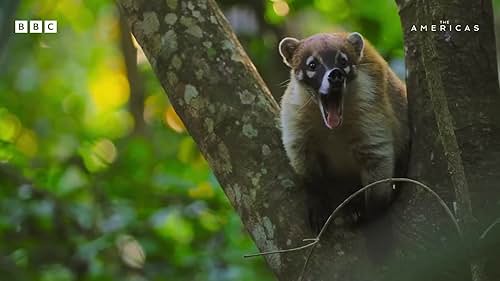 The Americas (TV Mini Series 2025– ) - IMDb