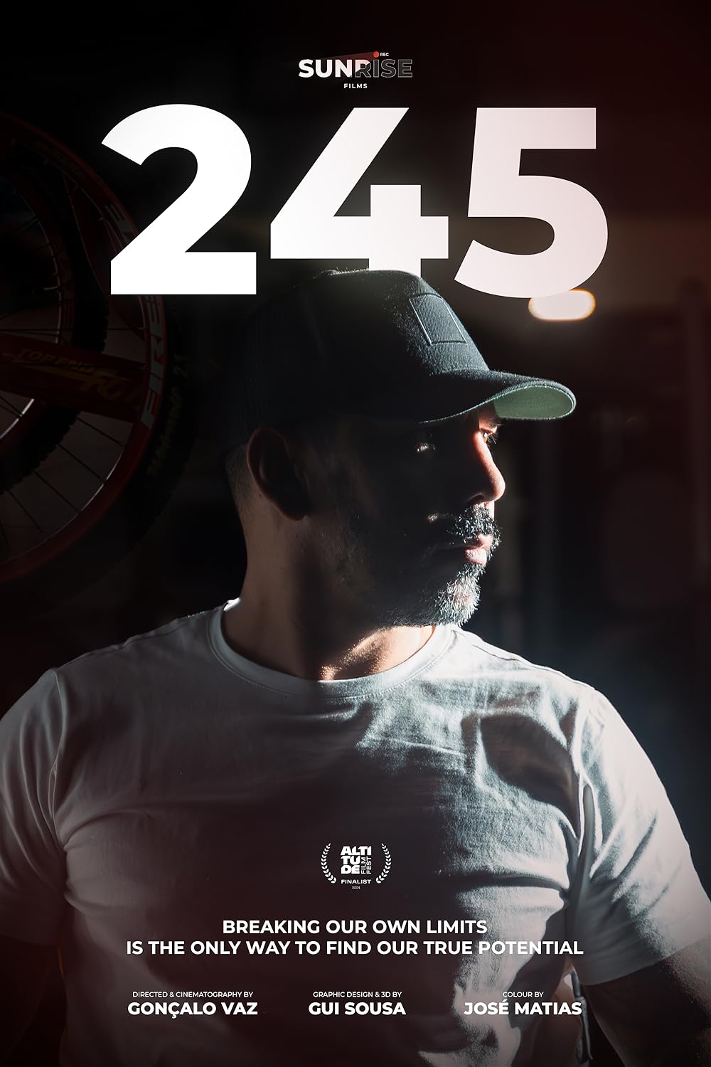 245 (2024)