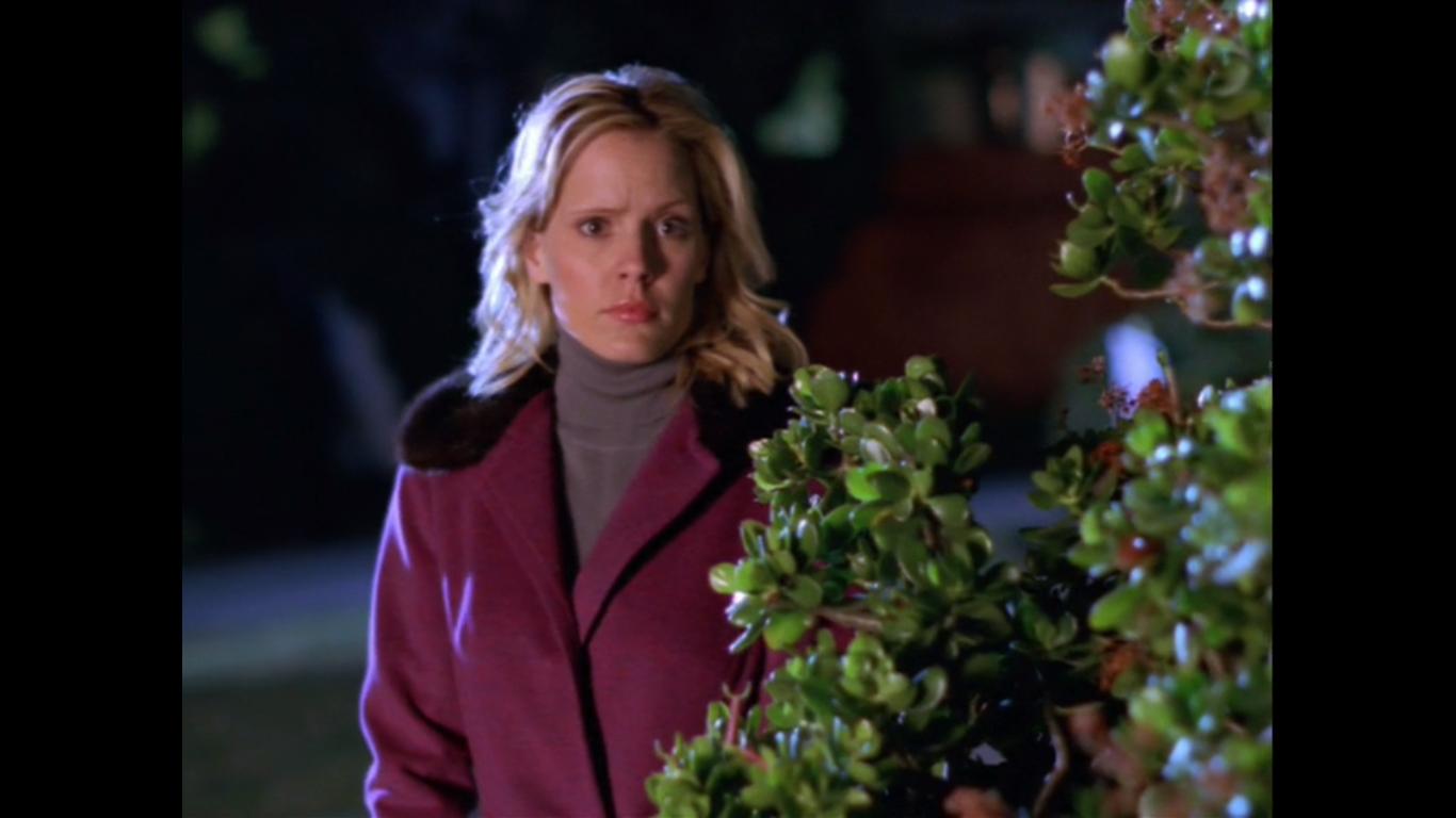 Buffy the Vampire Slayer (1997)