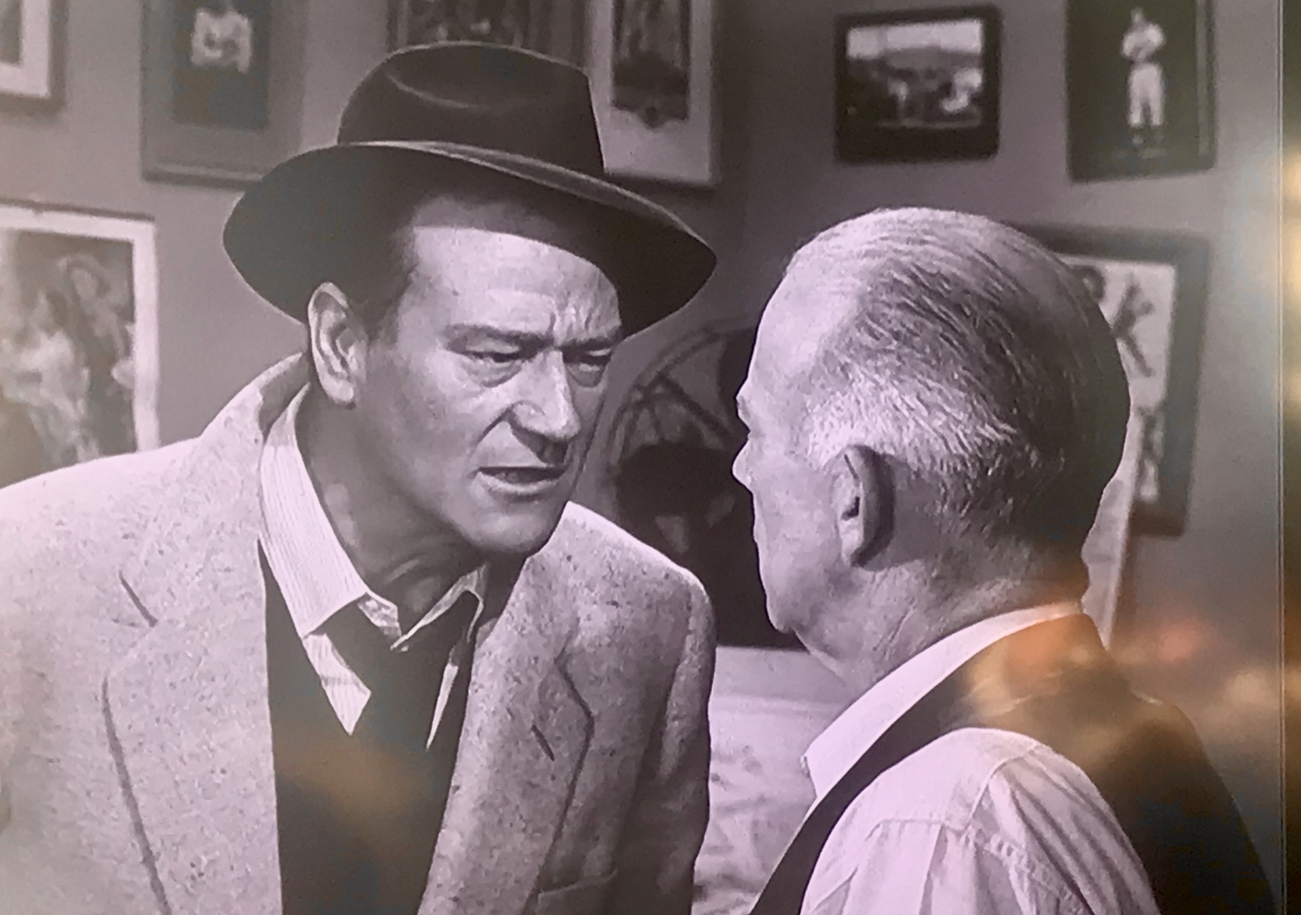 Screen Directors Playhouse (1955)