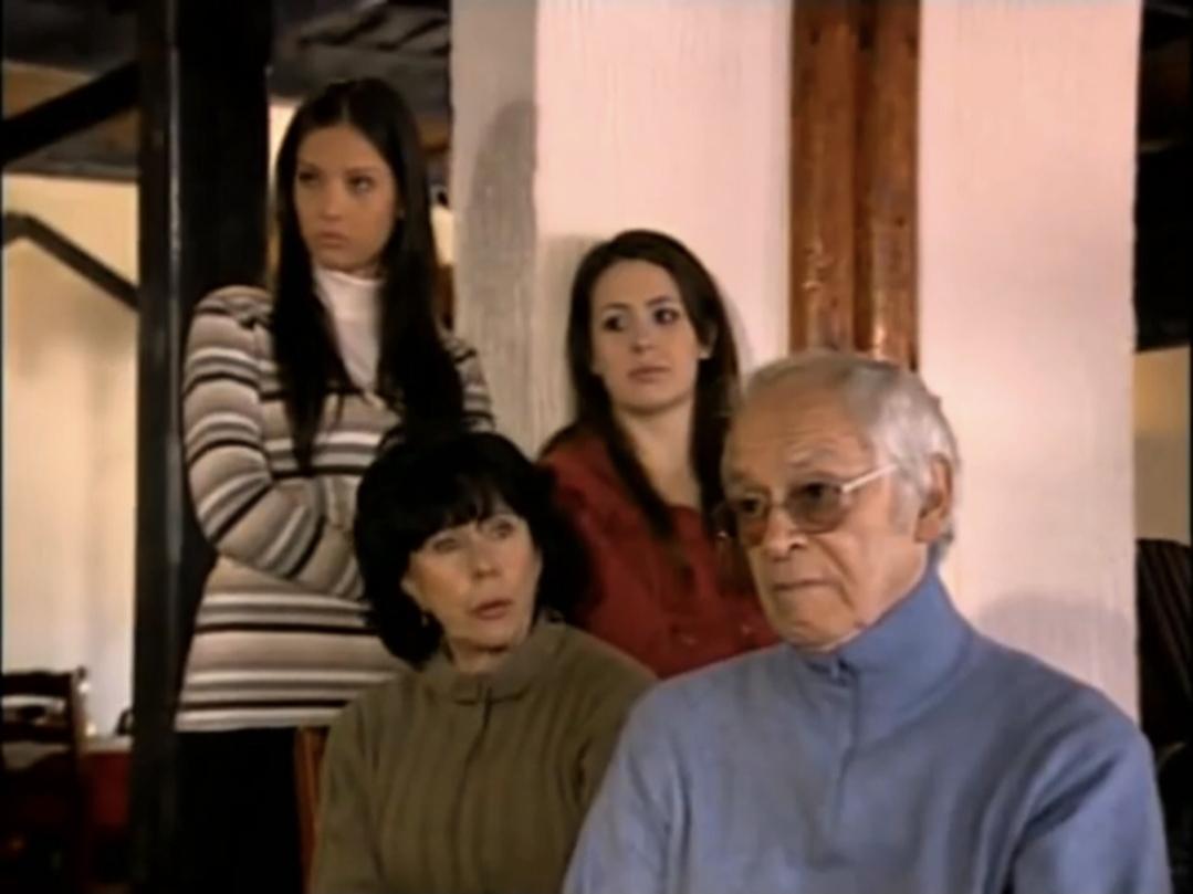 Ljubav, navika, panika (2005)