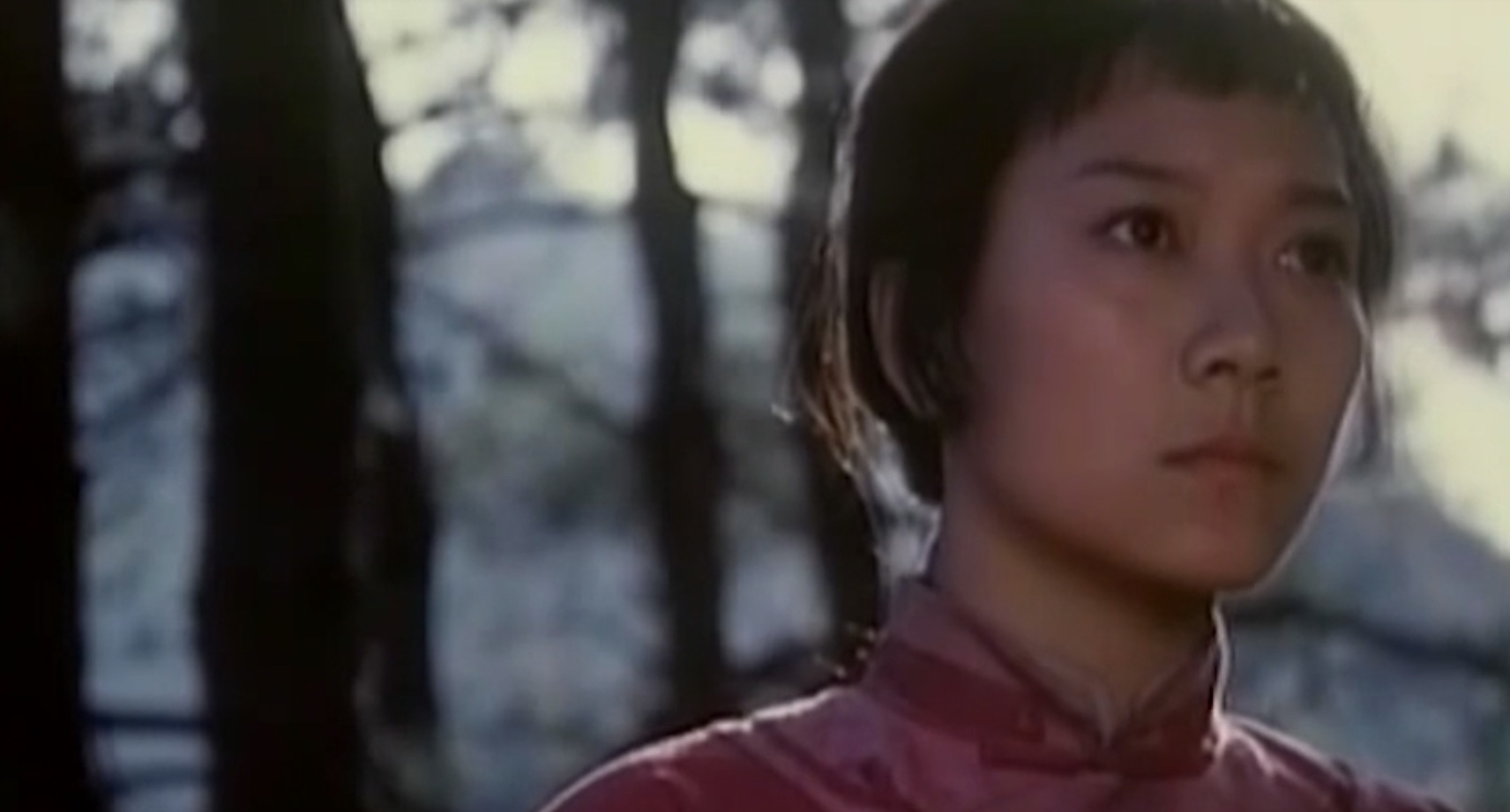 Wudang (1983)