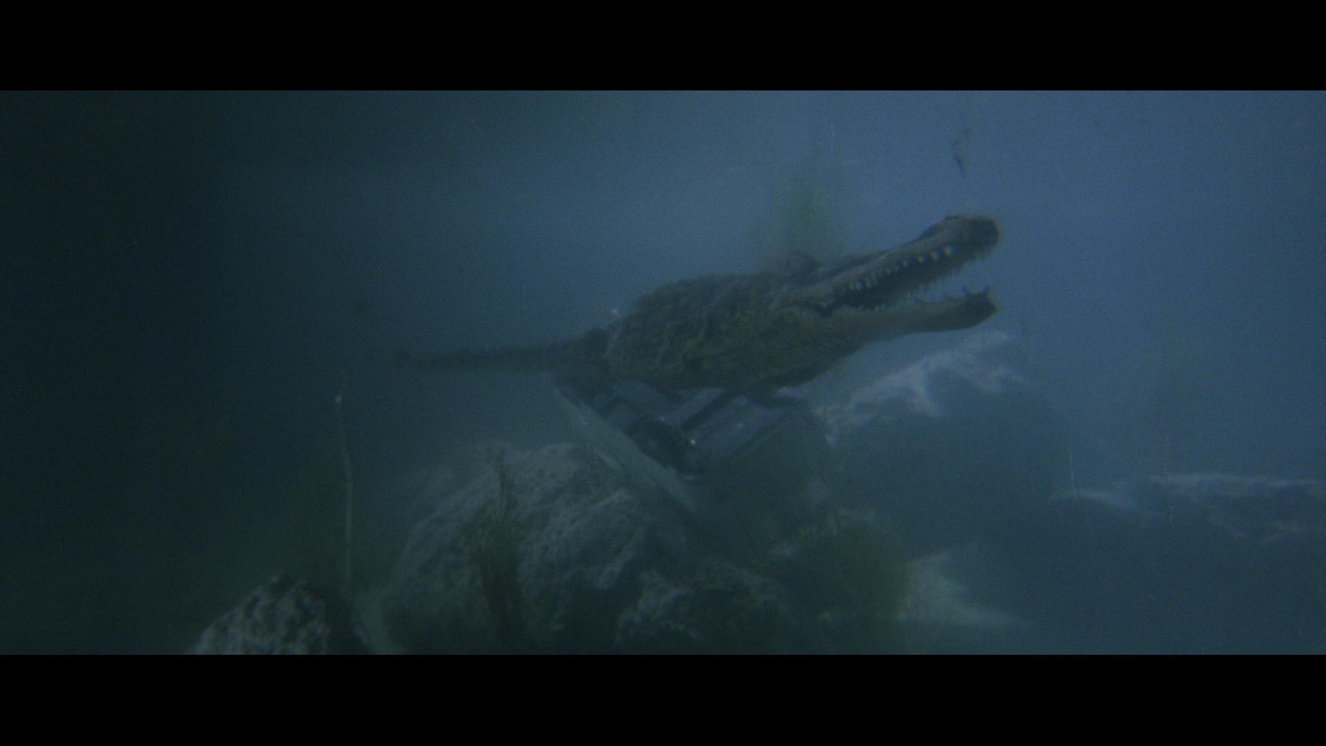 The Great Alligator (1979)