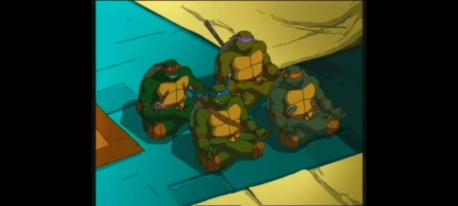 Teenage Mutant Ninja Turtles (2003)