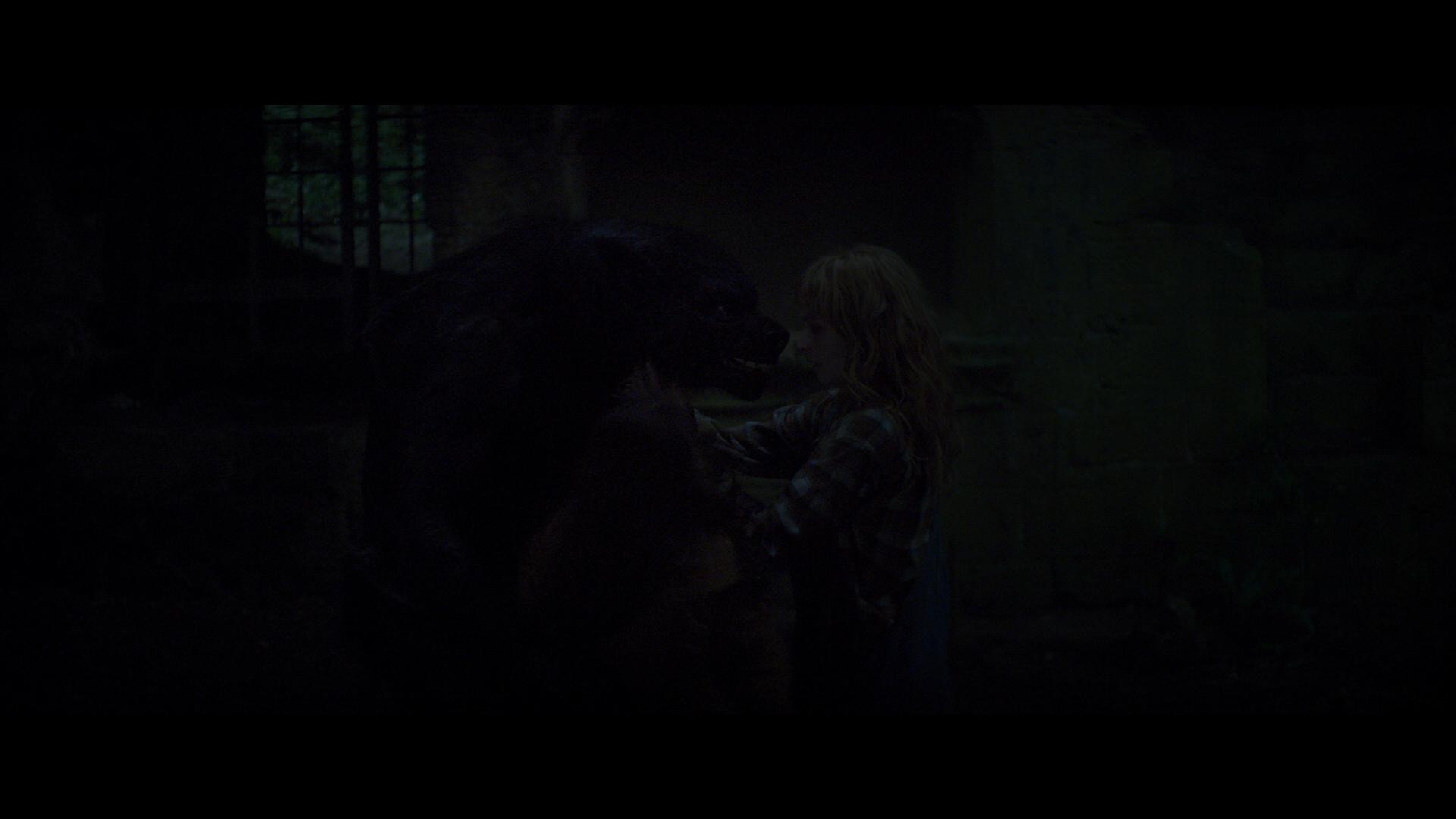 The Beast Within (2024)