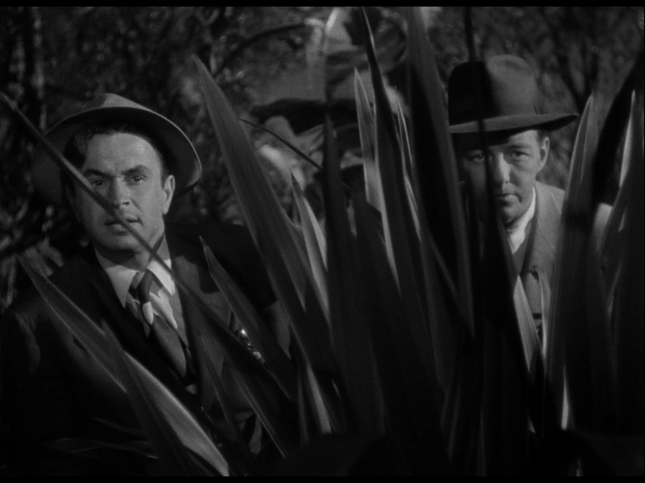 The Cat Creeps (1946)