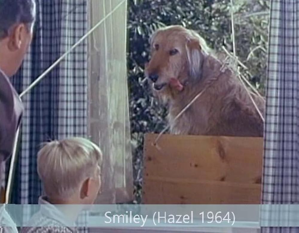 Hazel (1961)