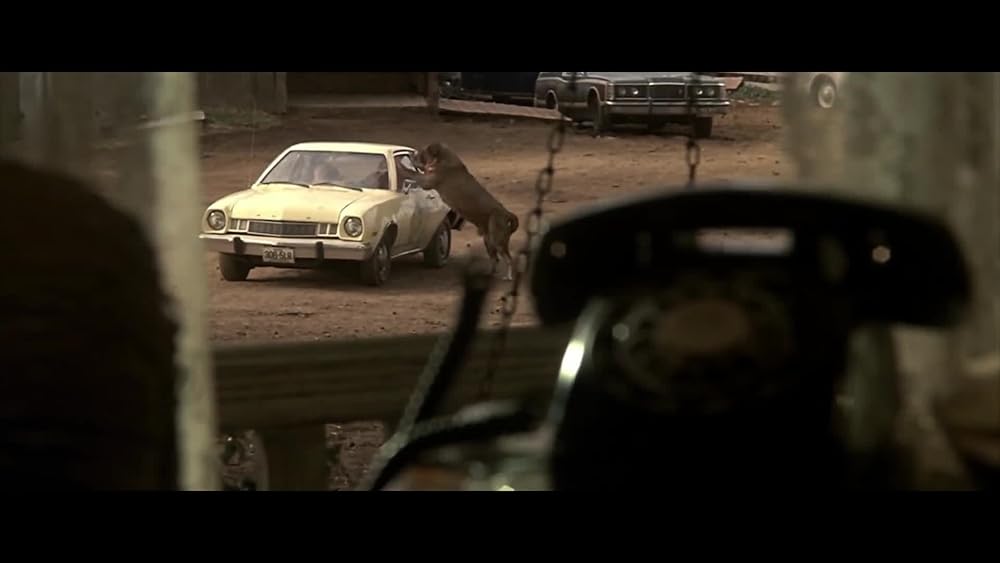 Cujo - 'Cujo' | Anniversary Mashup | IMDb