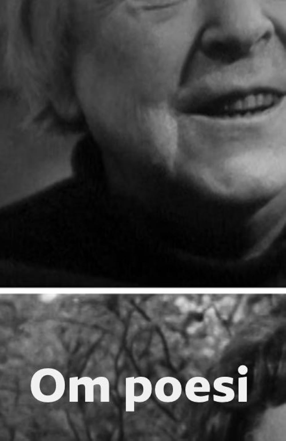Om Poesi Kort M te Med Jan Erik Vold TV Episode 1975 IMDb om-poesi-kort-m-te-med-jan-erik-vold-tv-episode-1975-imdb