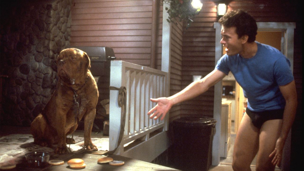Turner & Hooch (1989)