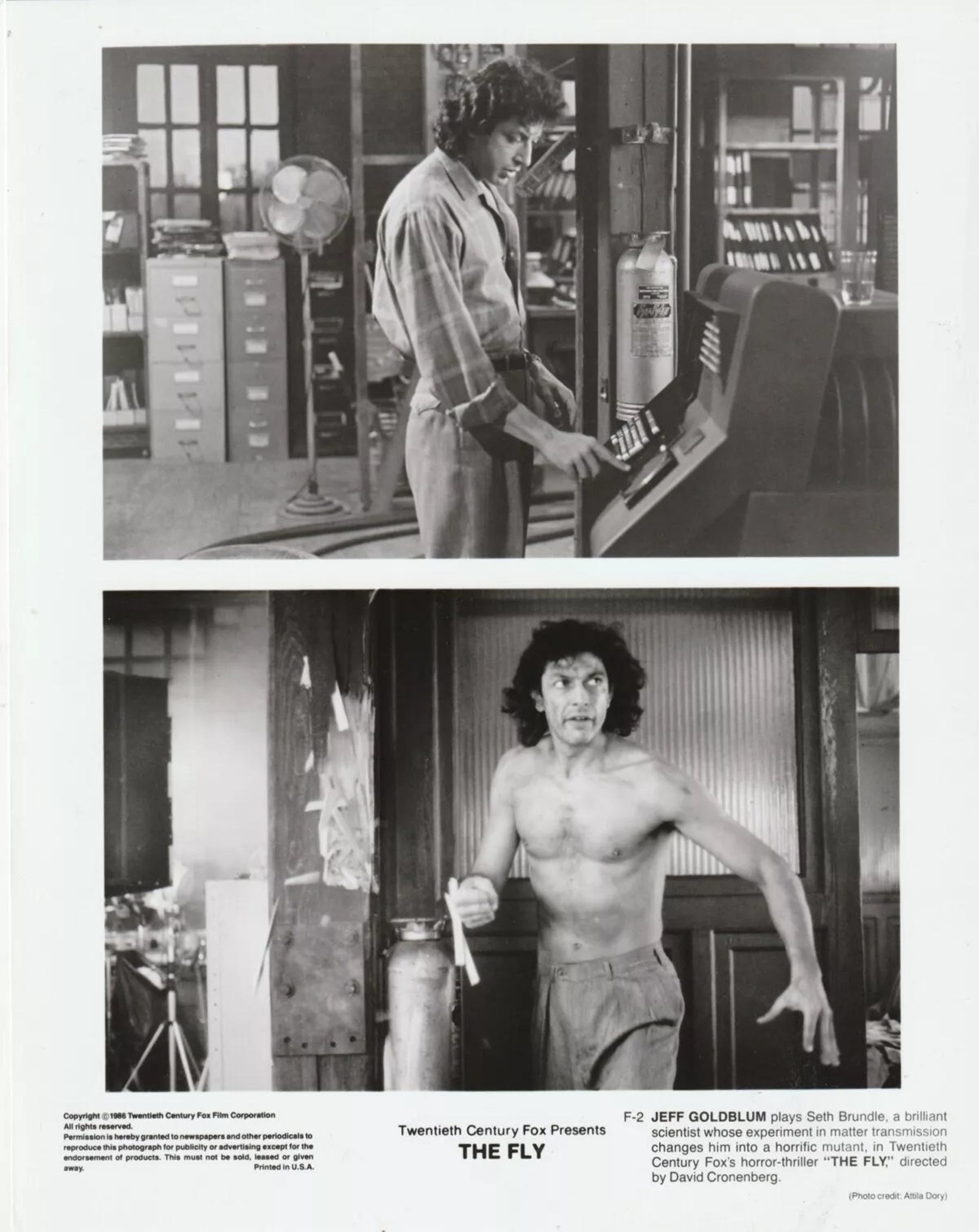 The Fly (1986)