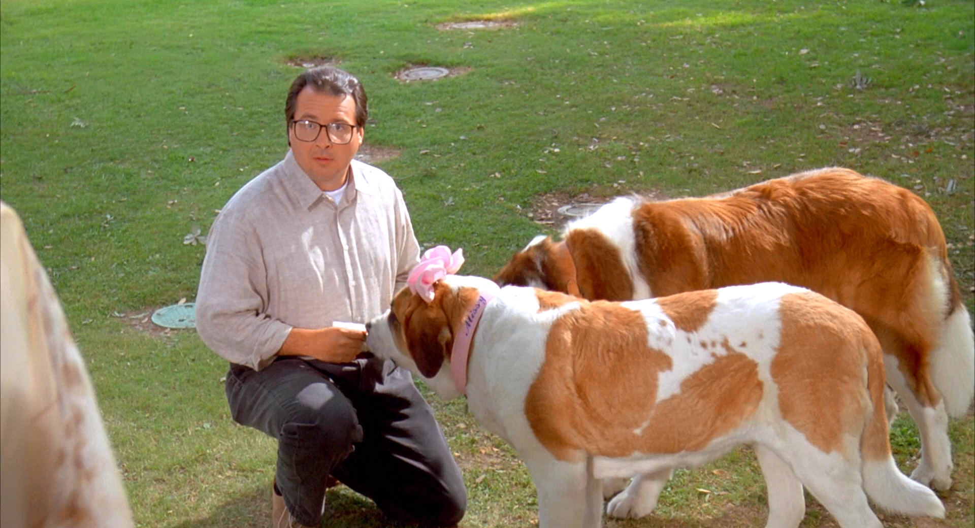 Beethoven's 2nd (1993)