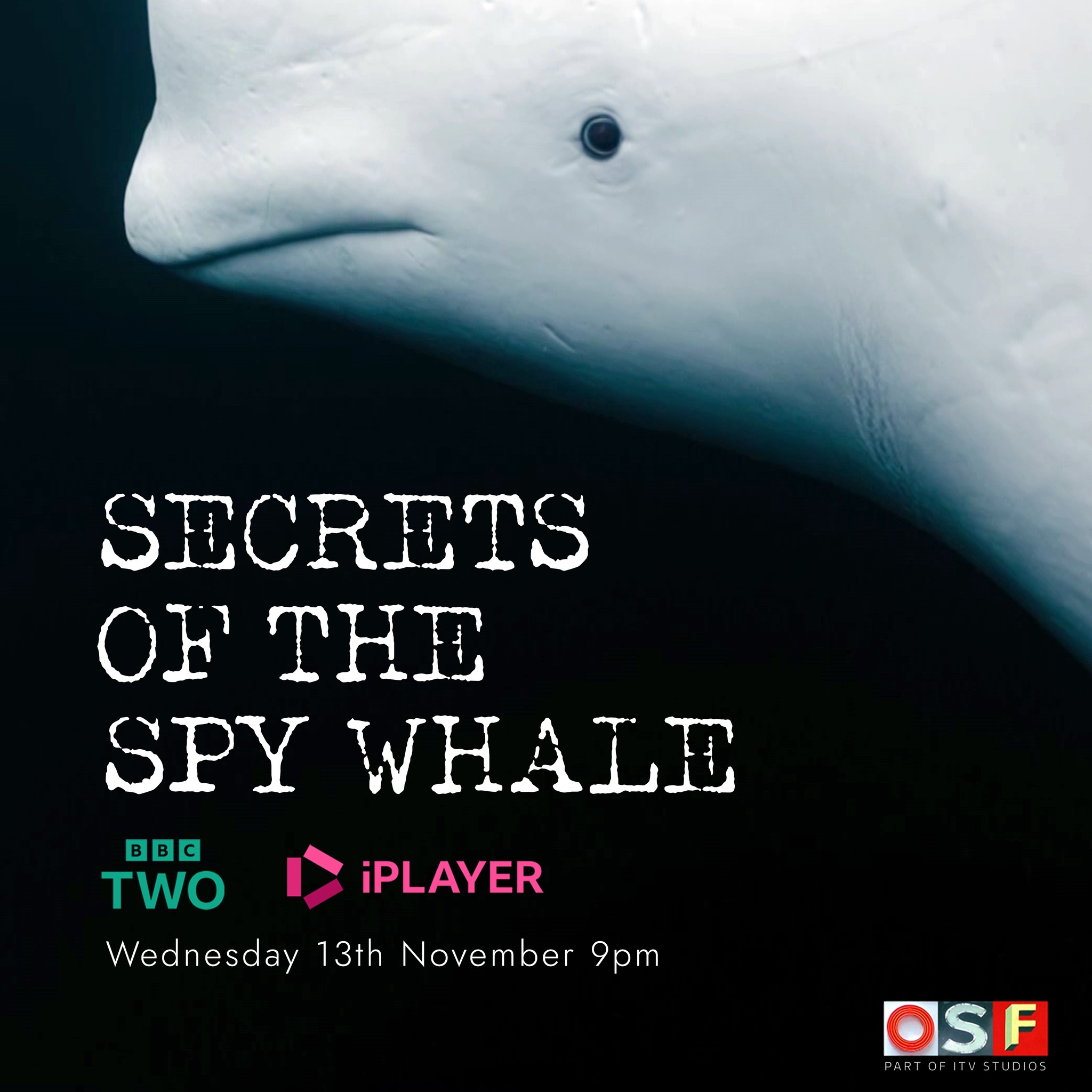Secrets of the Spy Whale (2024)