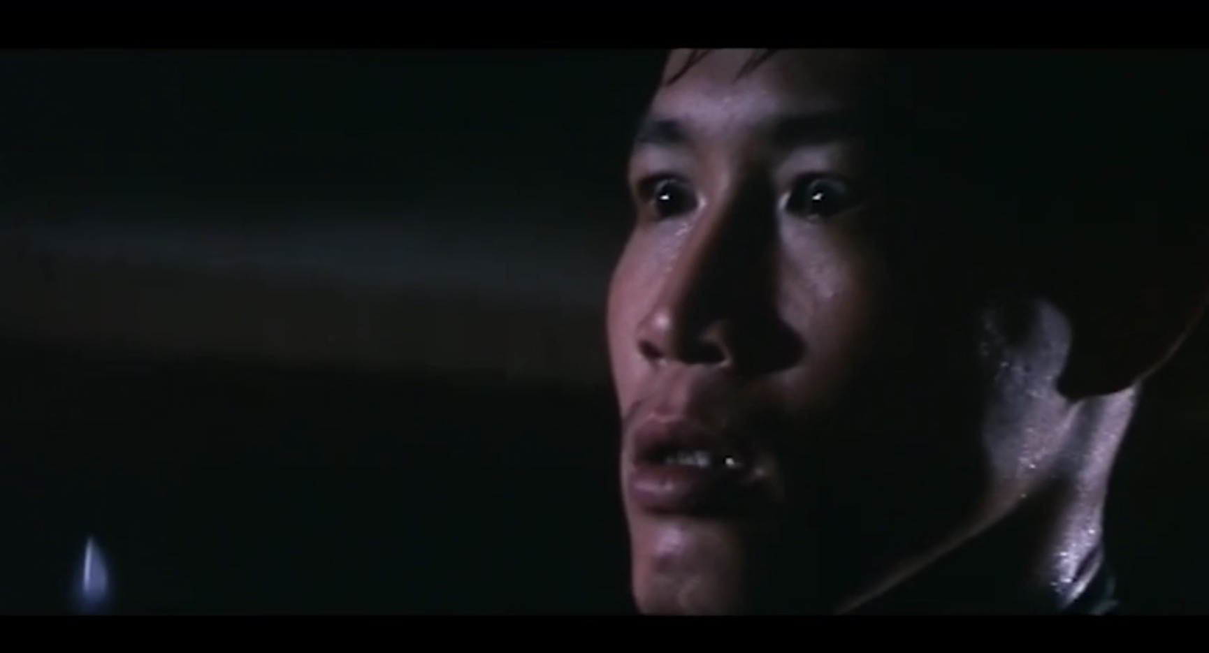 The Screaming Tiger (1972)