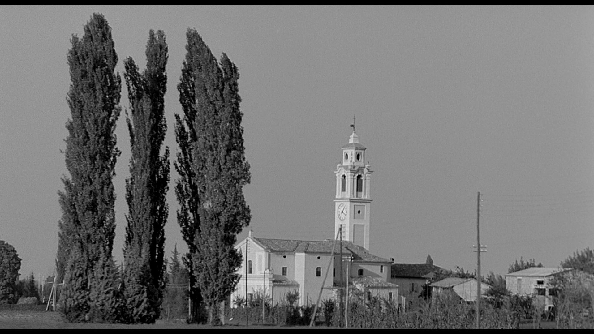 Before The Revolution 1964 Before The Revolution 1964