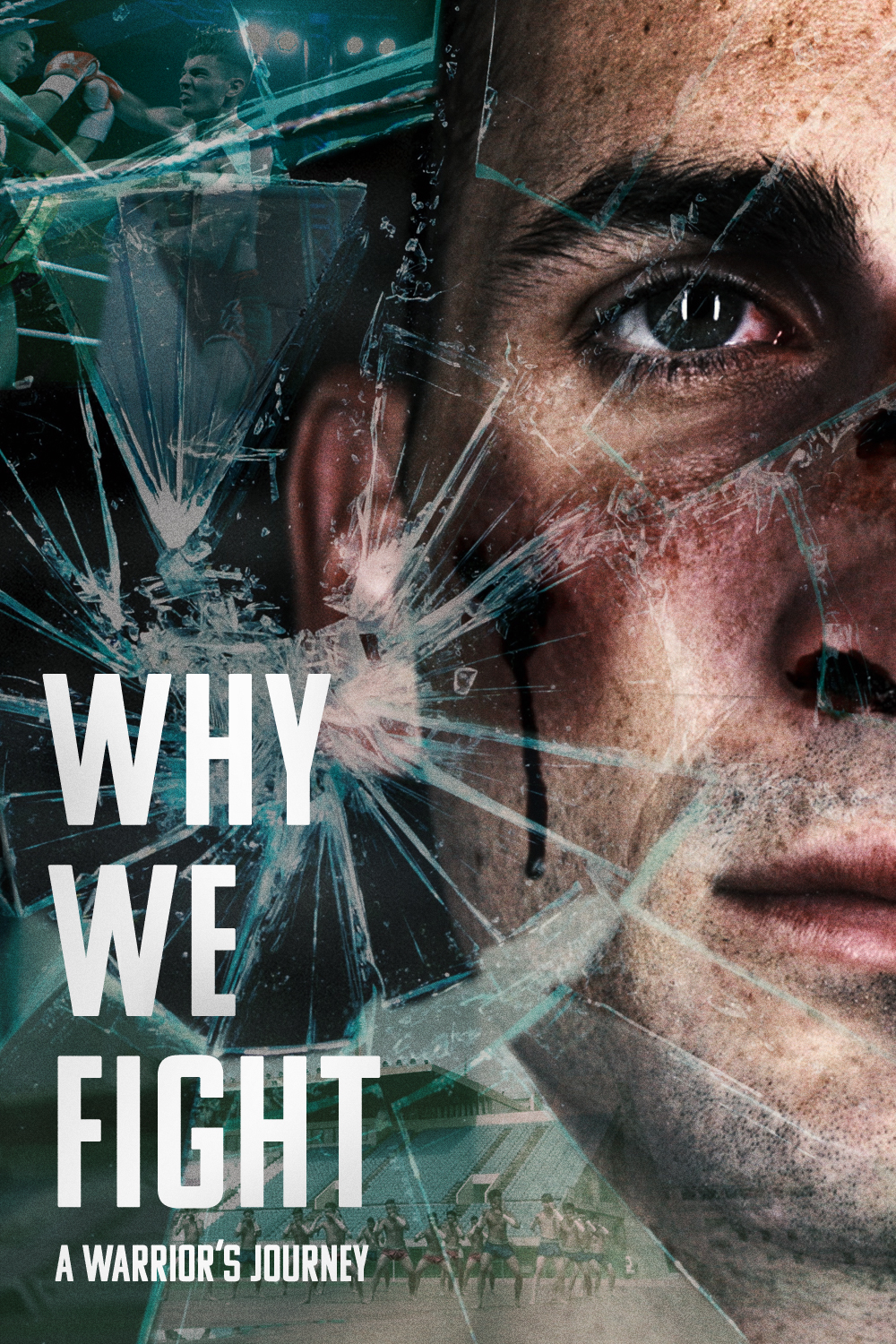 Why We Fight (2017)