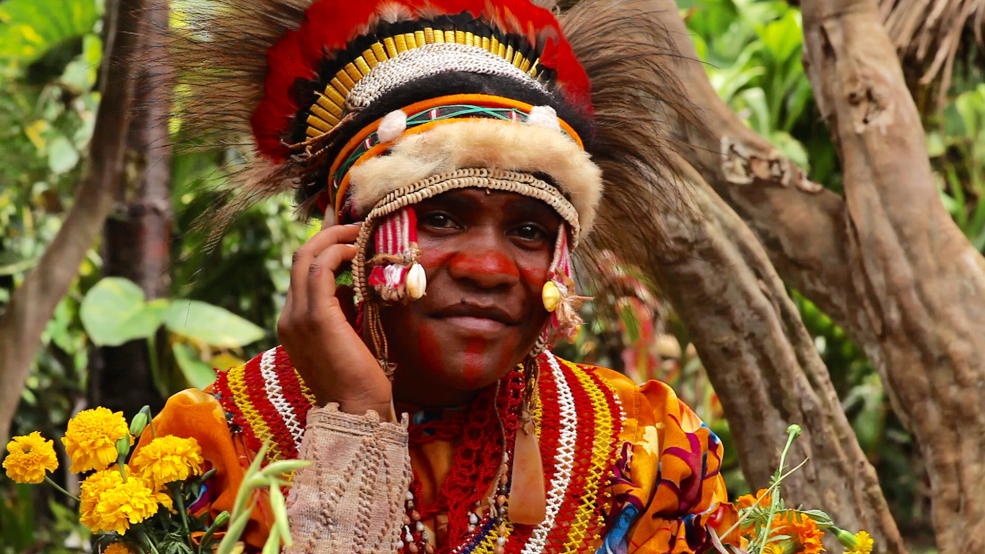 Aliko & Ambai (2017)